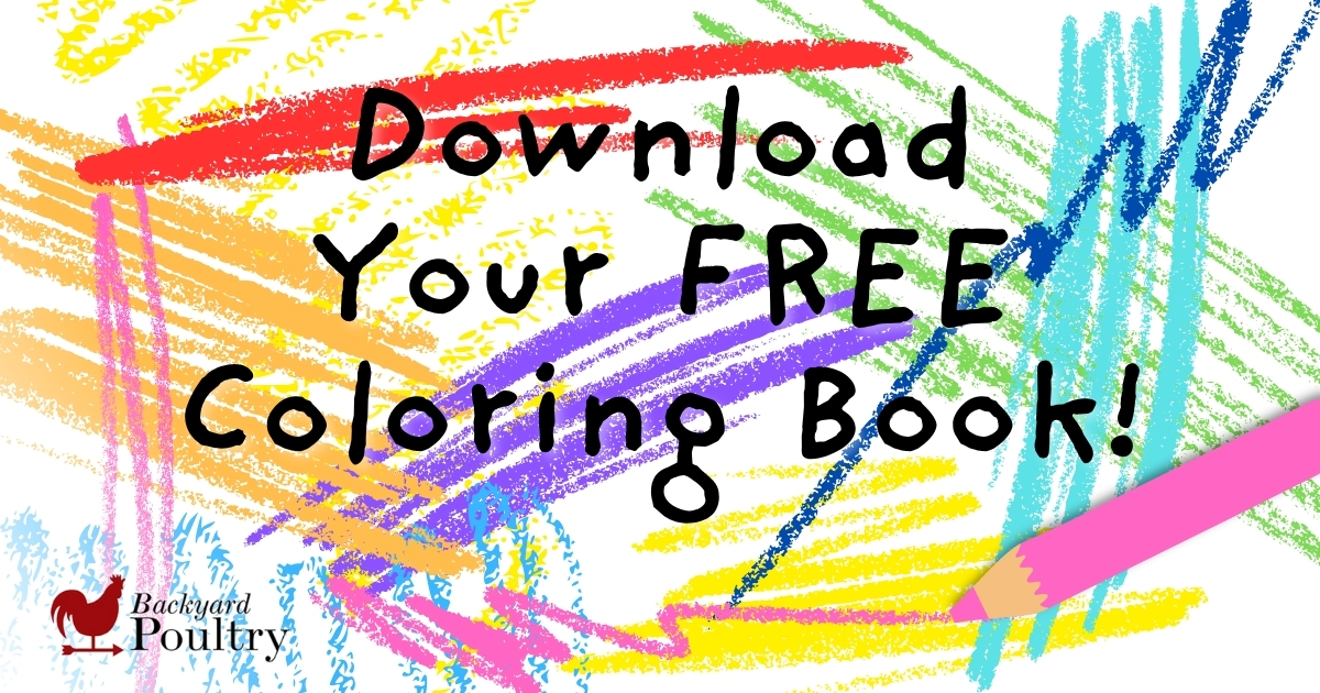 Coloring Book from Backyard Poultry